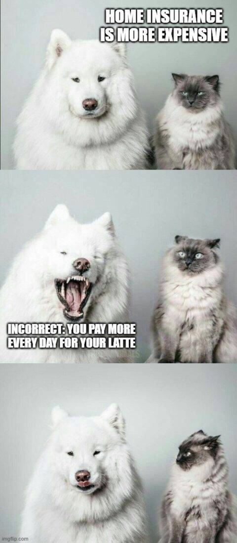 Home Insurance Memes| Best Funniest Meme Ever!