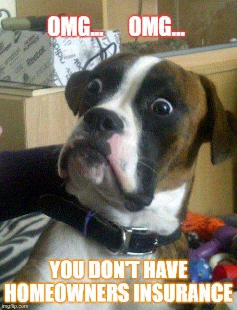 Home Insurance Memes| Best Funniest Meme Ever!